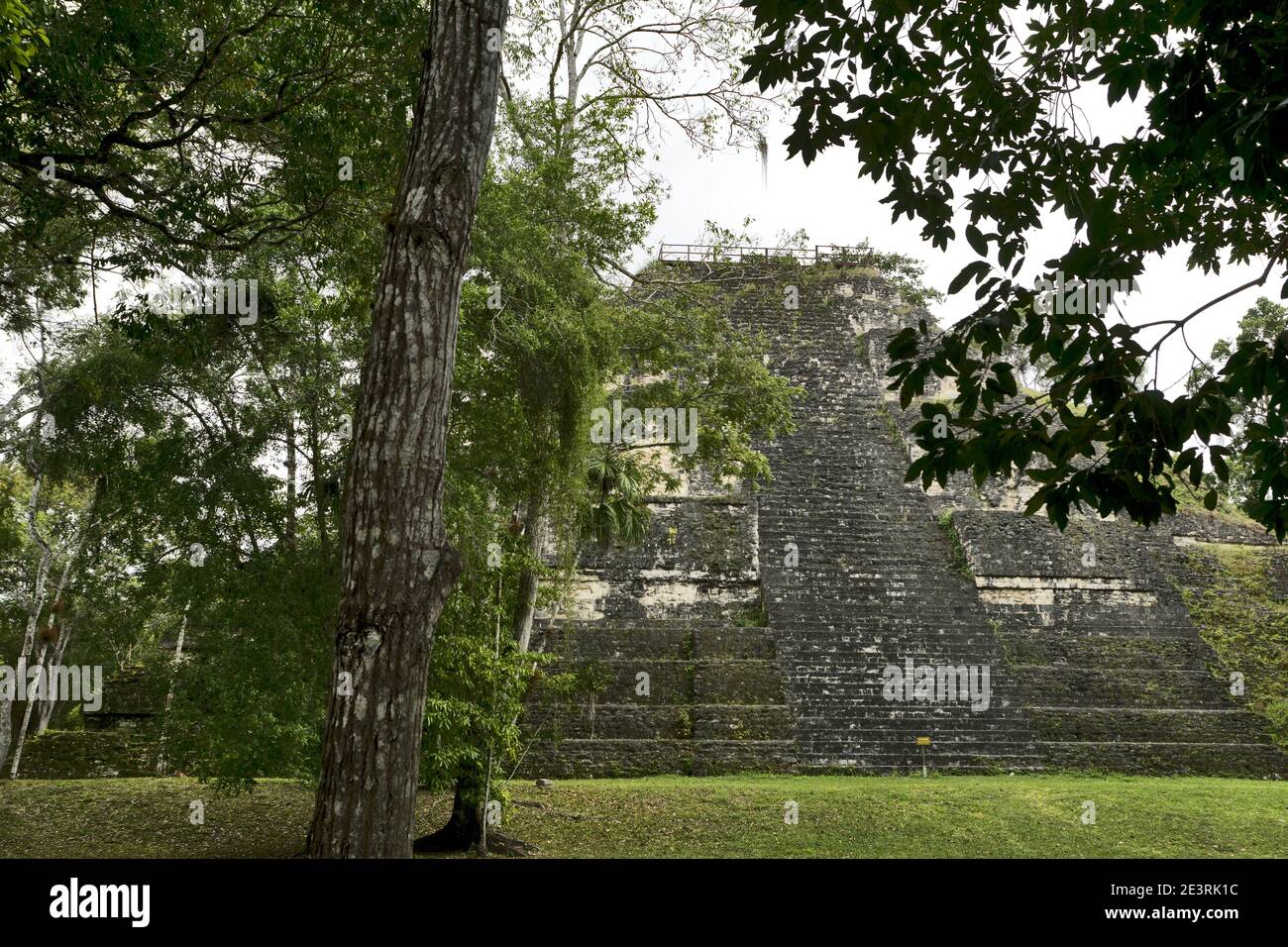 Pyramide de tikal Banque de photographies et d’images à haute ...
