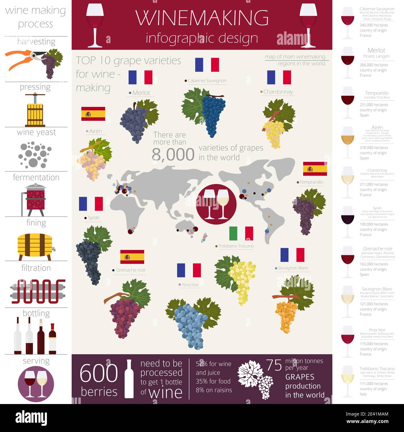Variétés de raisins pour le vin. Infographie sur la vinification ...