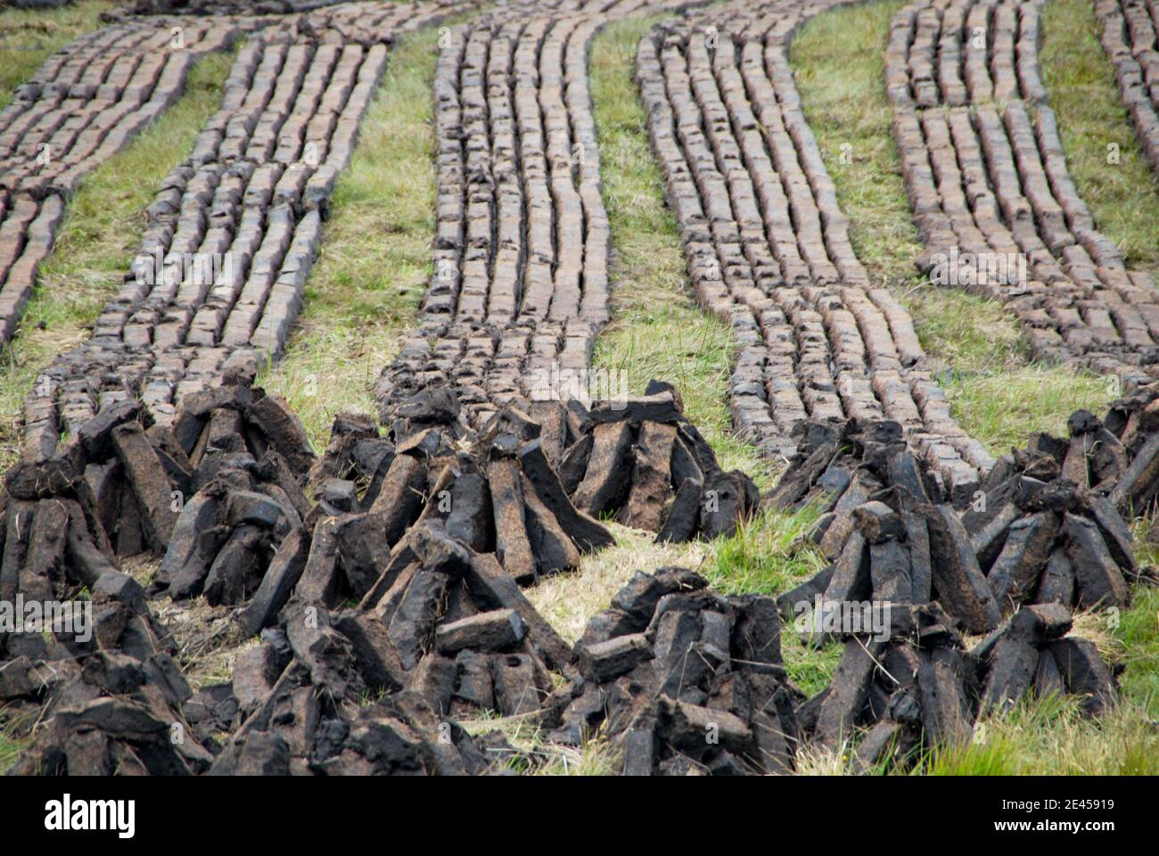 Tourbe naturelle Banque de photographies et d’images à haute résolution ...