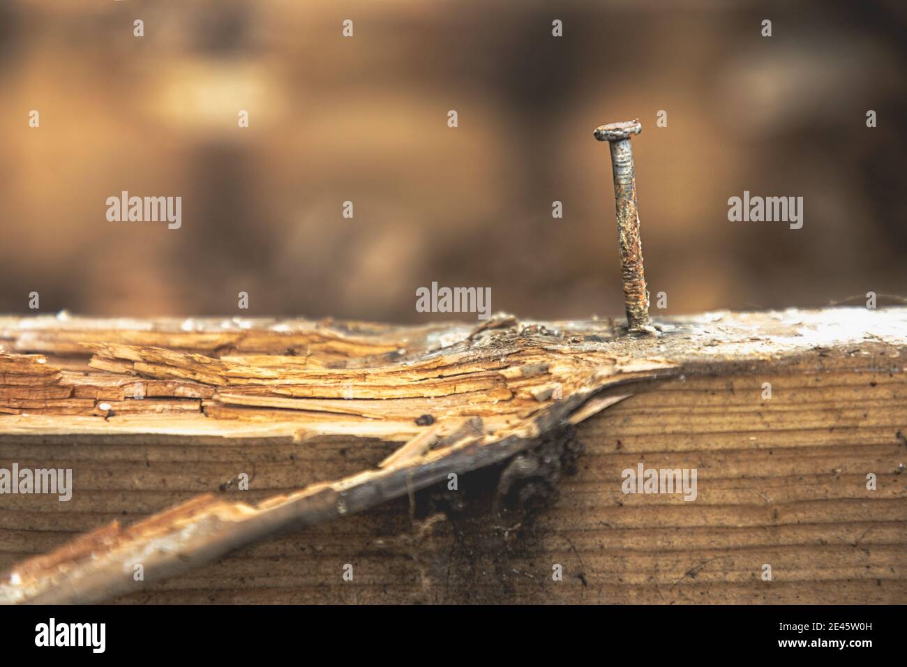 Travail pourri Banque de photographies et d’images à haute résolution ...