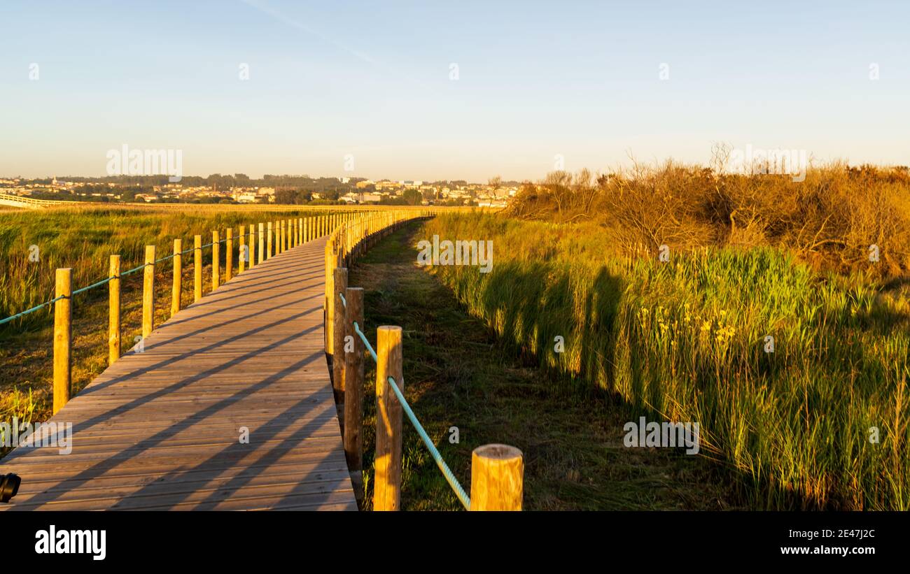 Paramos portugal Banque de photographies et d’images à haute résolution ...