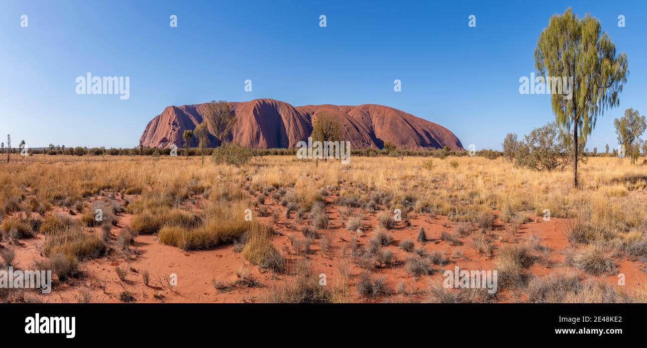 Uluru, territoire du Nord, Australie - 10 janvier 2021 : Uluru ou Ayers ...