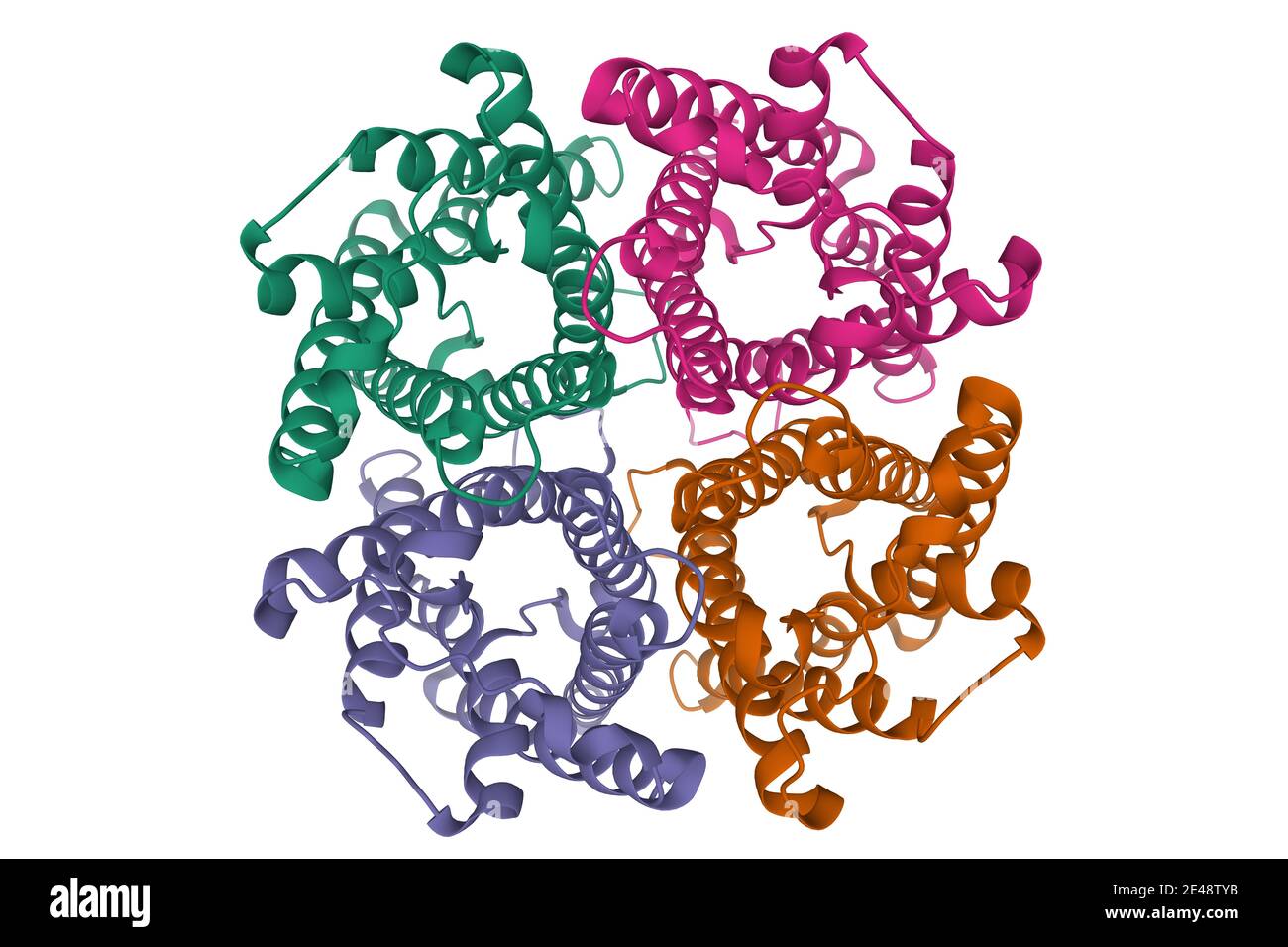 Complexe Protéique Transmembranaire Rhésus