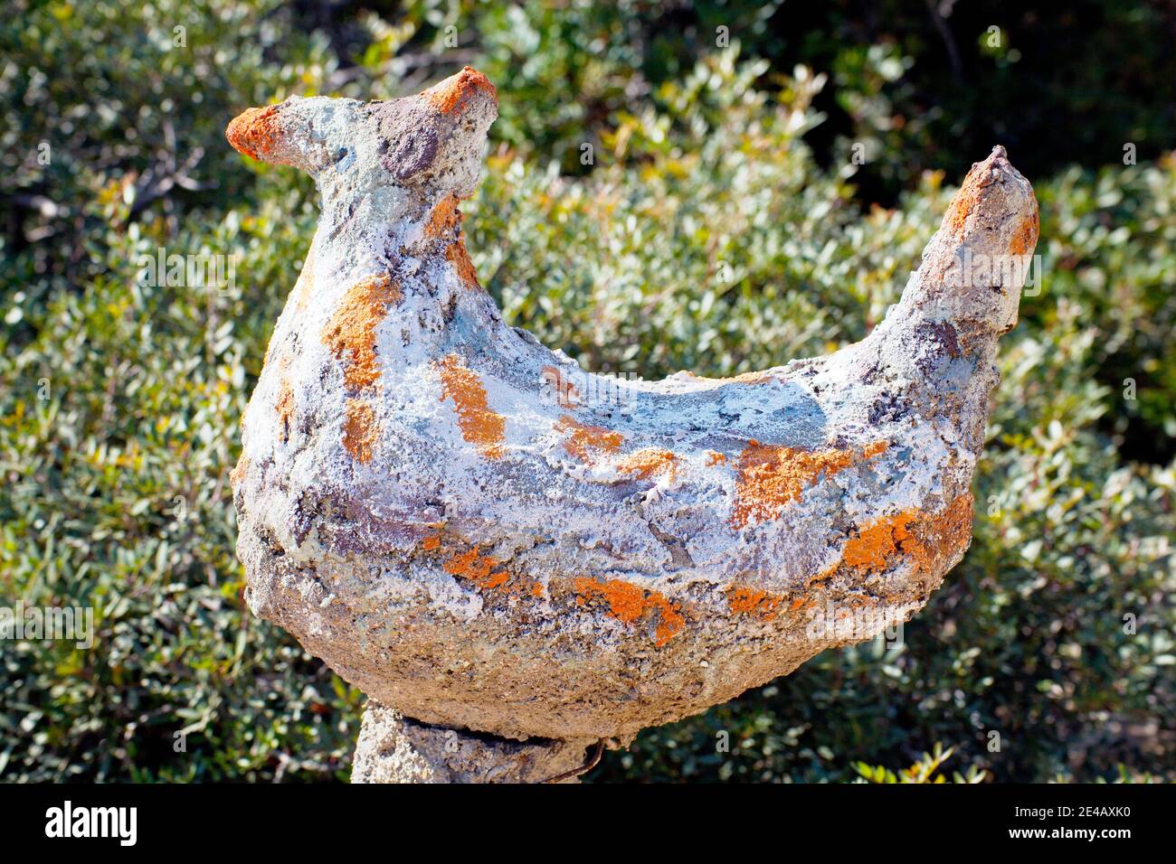 Objets insolites Banque de photographies et d’images à haute résolution ...