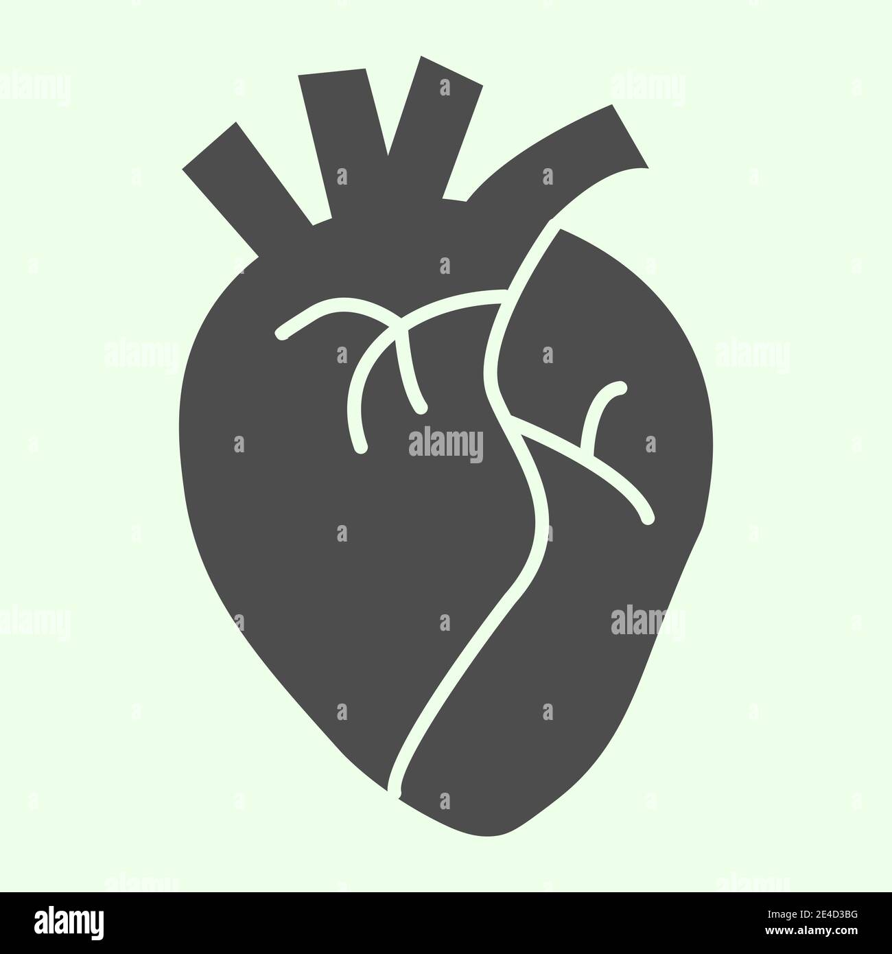 Icône solide d'organe cardiaque. Pictogramme réaliste de style glyphe ...