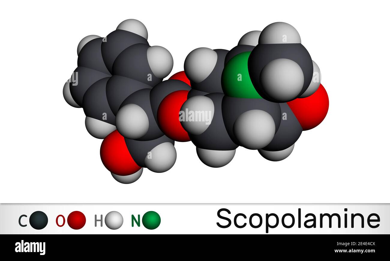 L scopolamine Banque de photographies et d’images à haute résolution ...