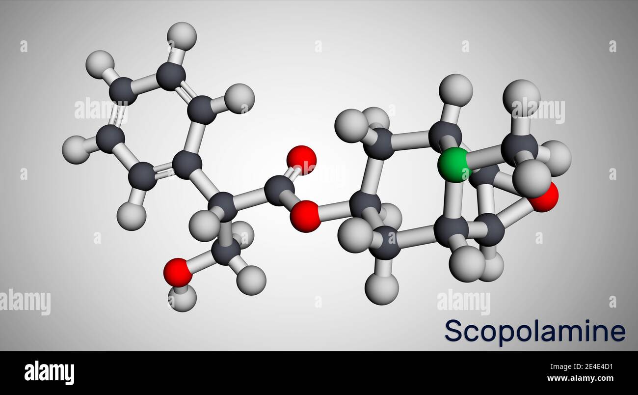 L scopolamine Banque de photographies et d’images à haute résolution ...