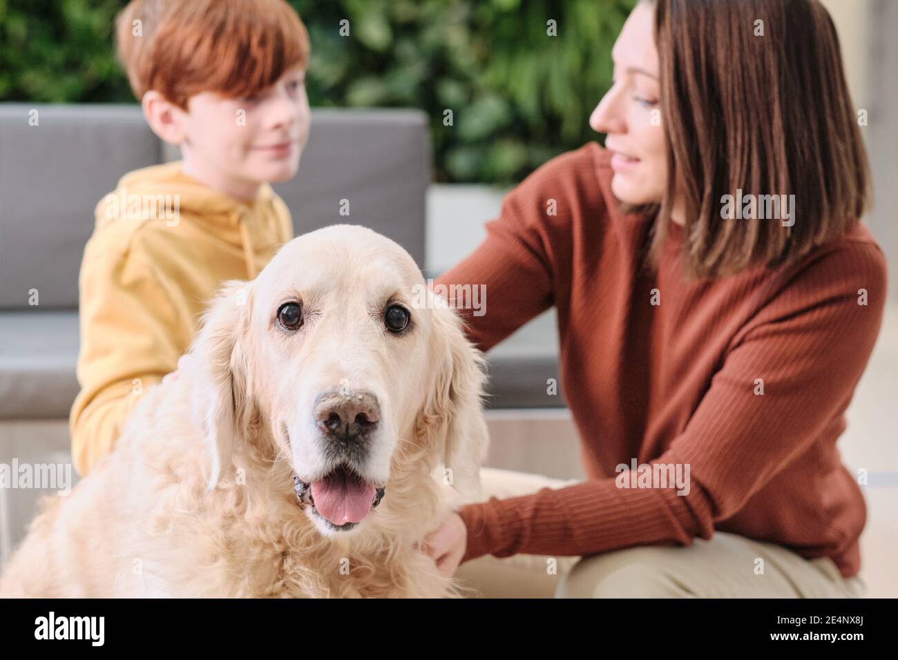 Mère et son fils aiment et s'occupent de leur belle labrador Photo ...