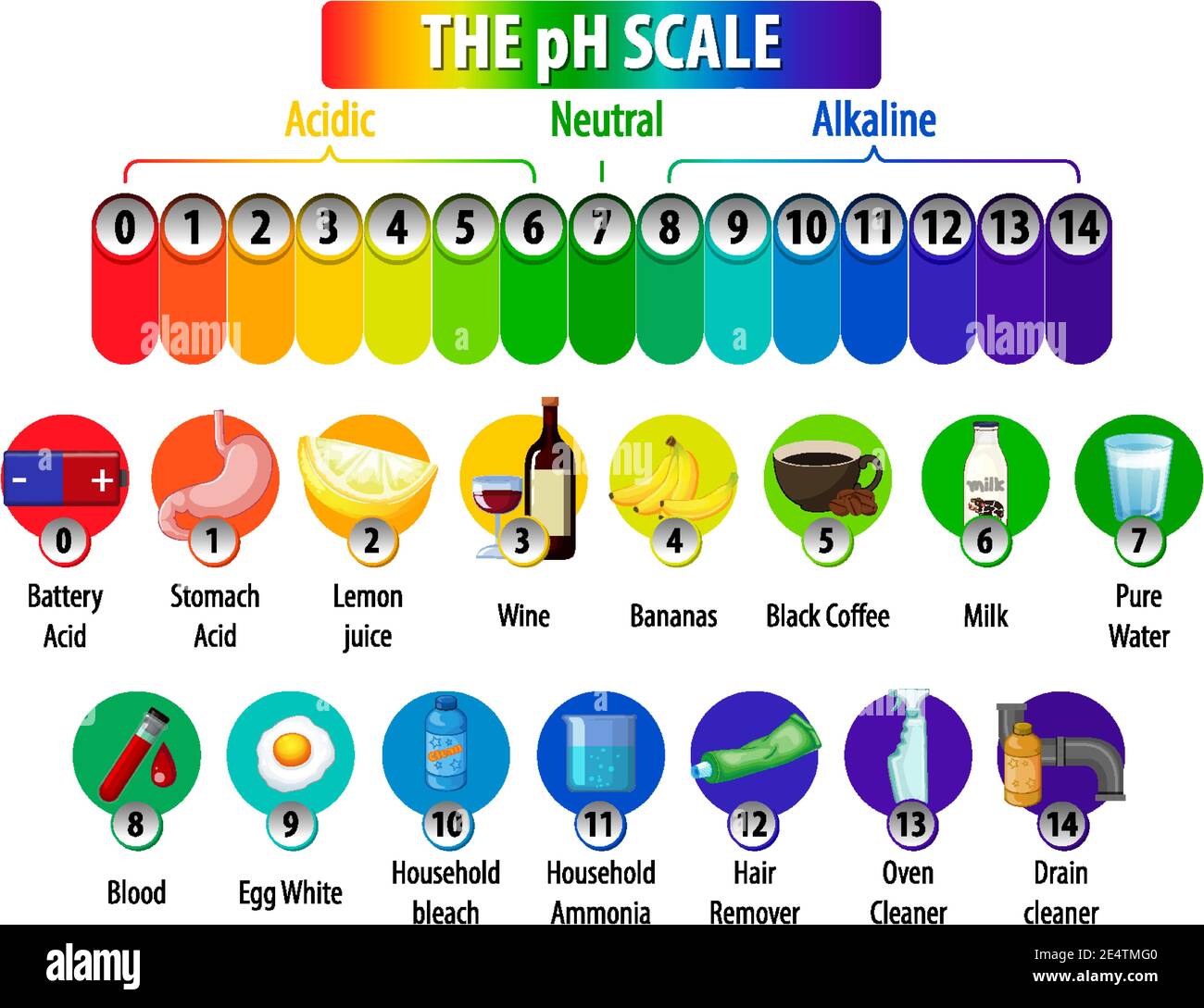 Le diagramme de l'échelle de pH sur fond blanc Image Vectorielle Stock ...
