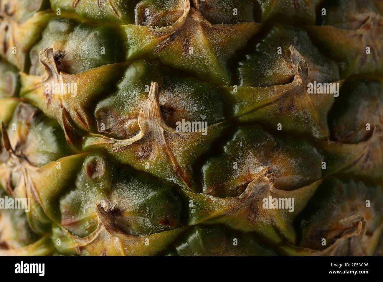 Pineapple skin Banque de photographies et d’images à haute résolution ...