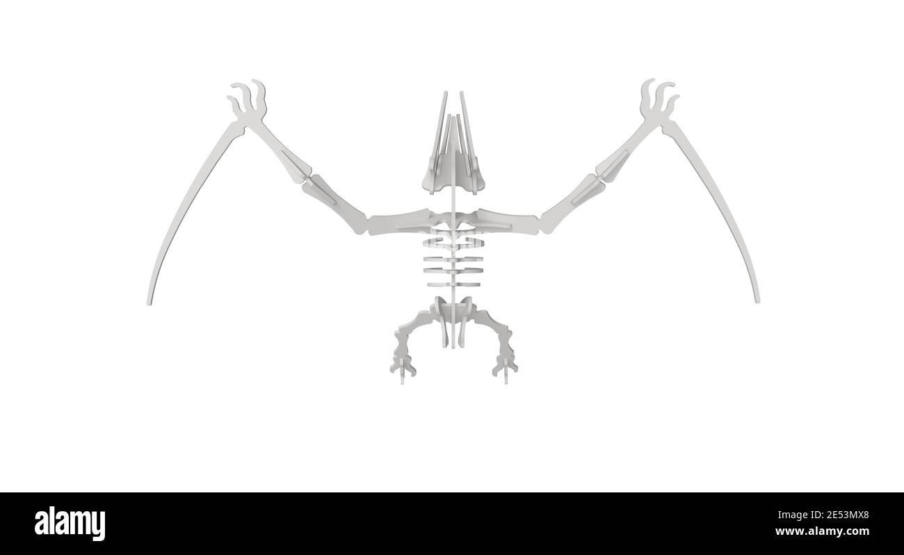 Dinosaur pteranodon silhouette Banque de photographies et d’images à haute résolution - Alamy