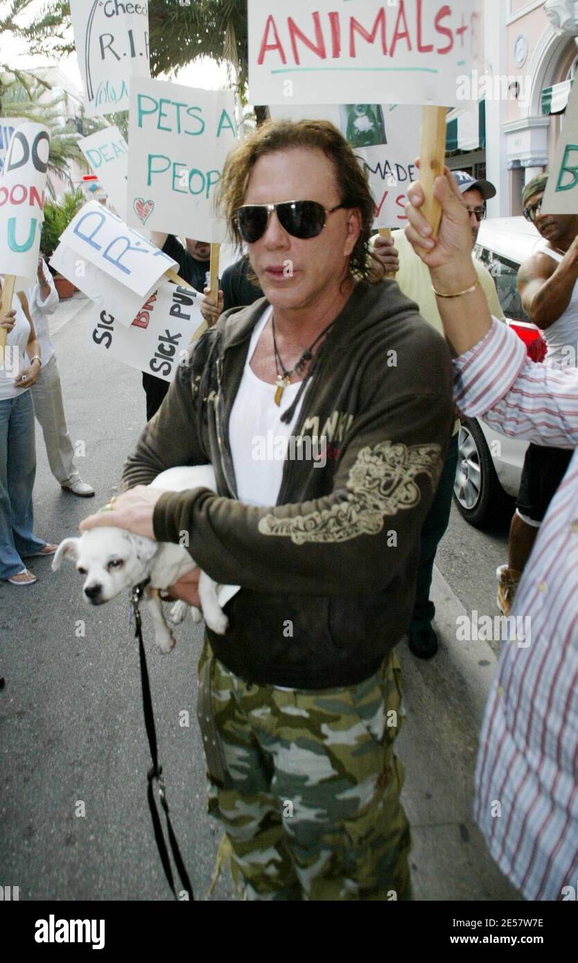 Mickey rourke dog Banque de photographies et d’images à haute ...