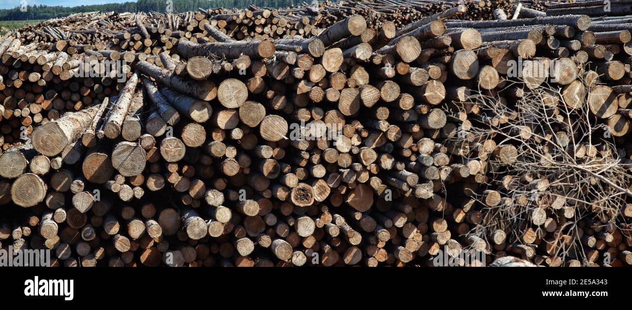Piles De Bois Rond Banque d'image et photos - Alamy