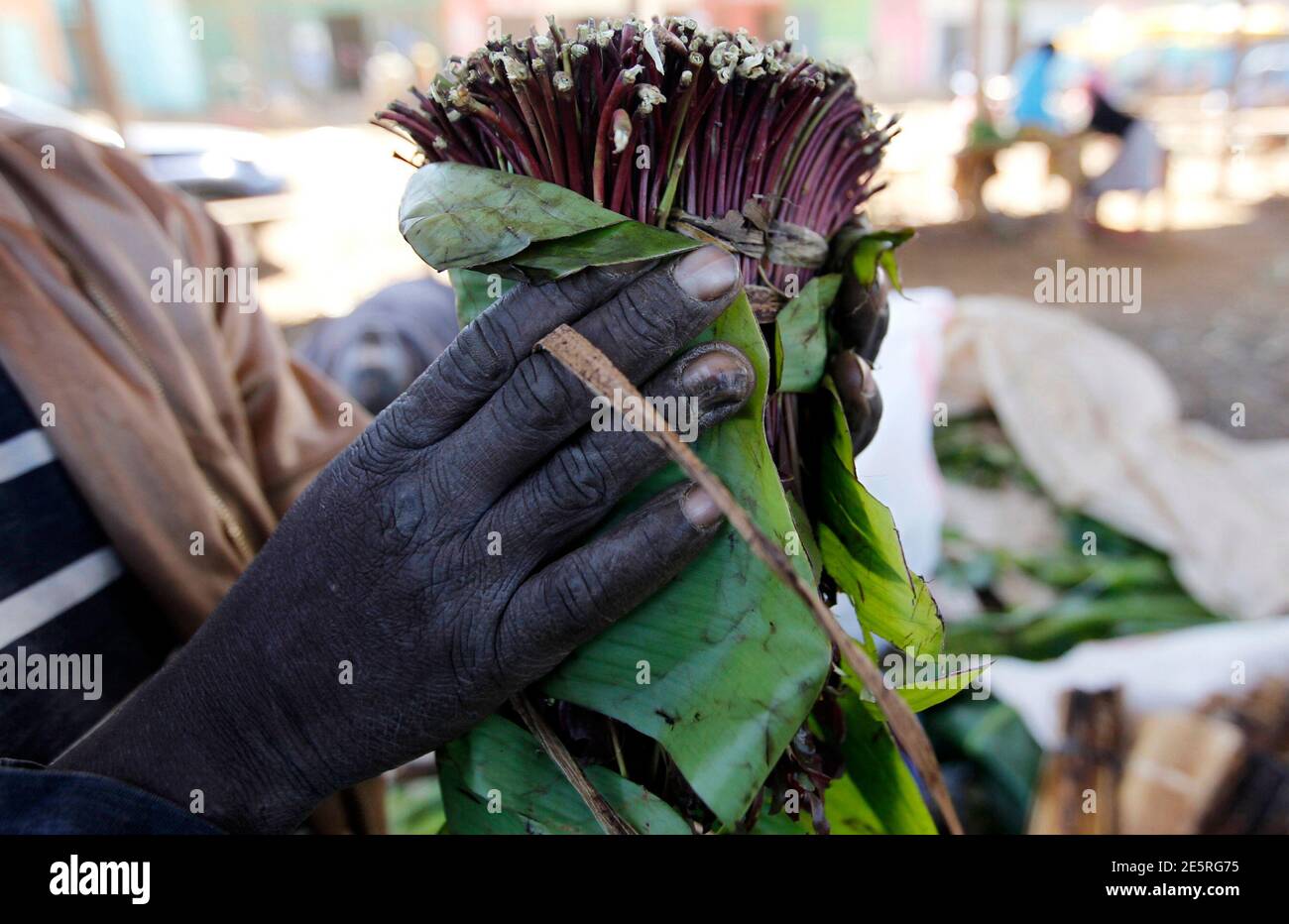 Khat farmer Banque de photographies et d’images à haute résolution - Alamy