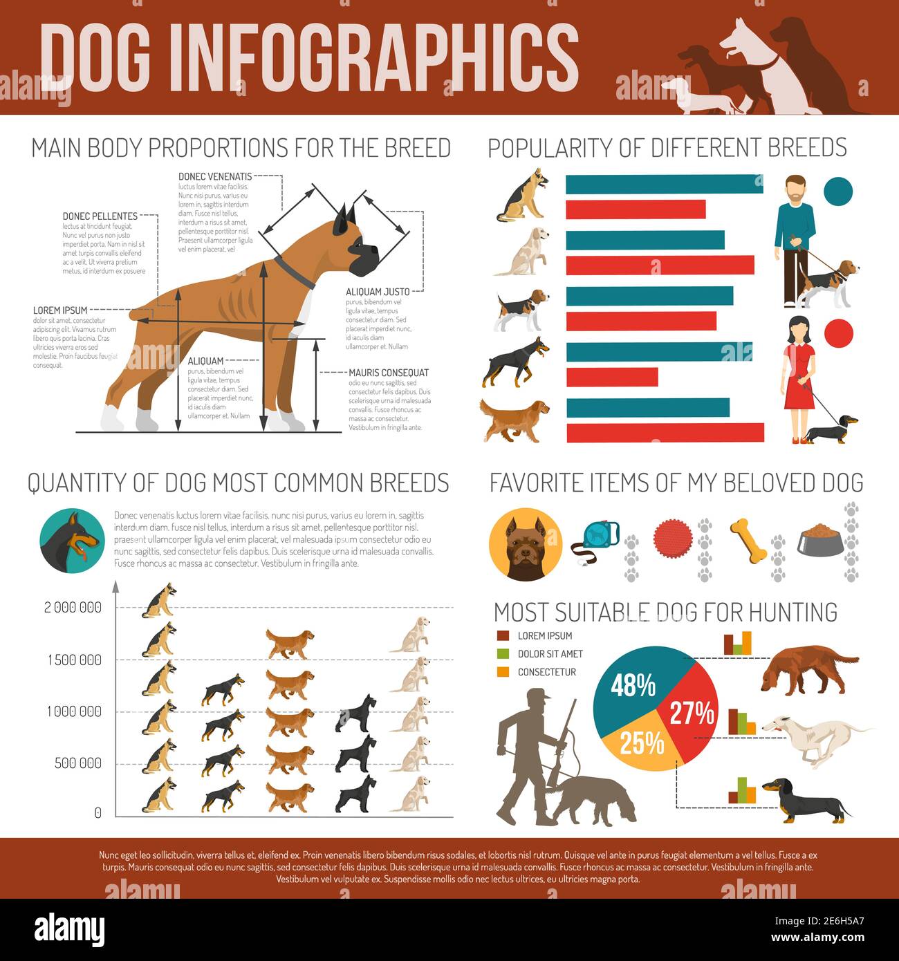 Ensemble d'infographies de chien avec symboles de races et ...