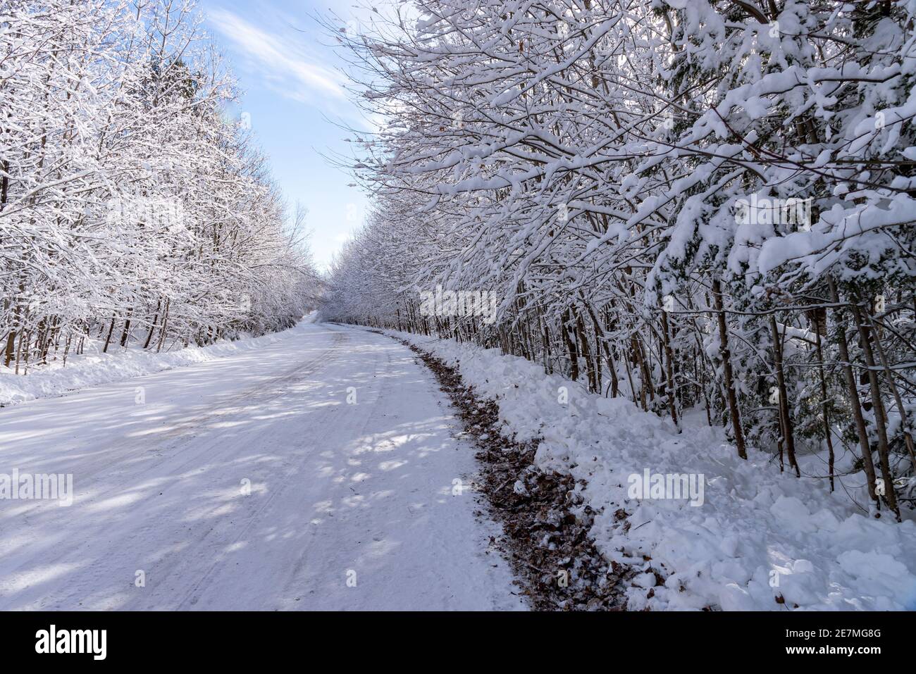 Paysage d'hiver au quebec Banque de photographies et d’images à haute ...