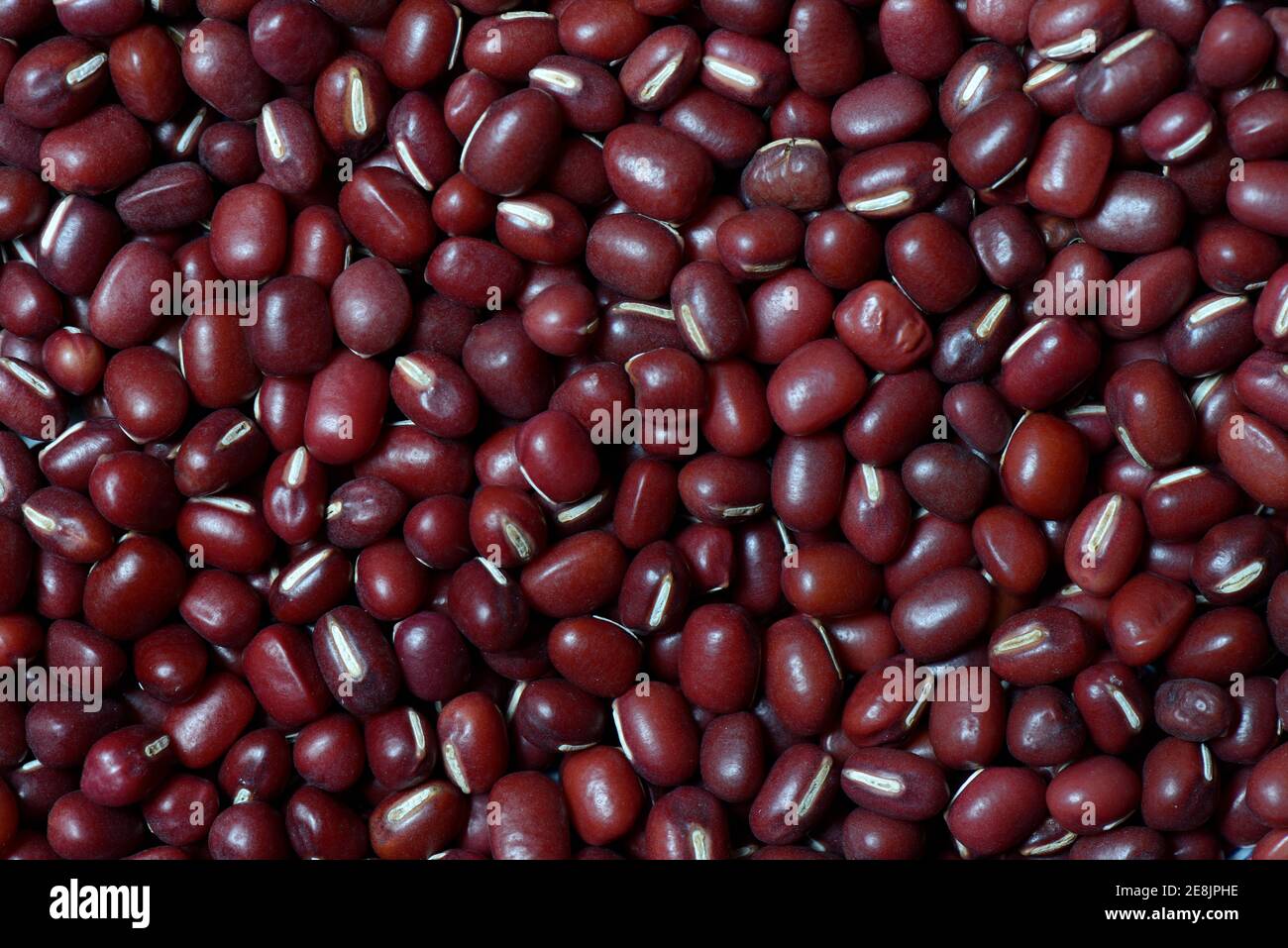 Azuki beans Banque de photographies et d’images à haute résolution - Alamy