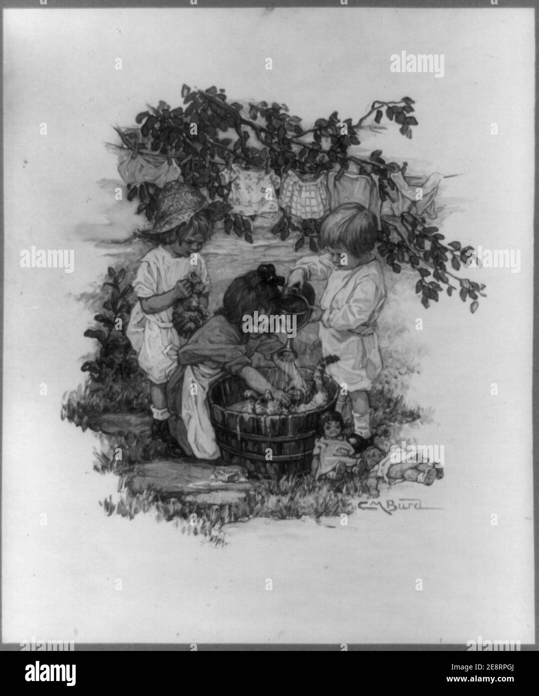 C burd Banque de photographies et d’images à haute résolution - Alamy