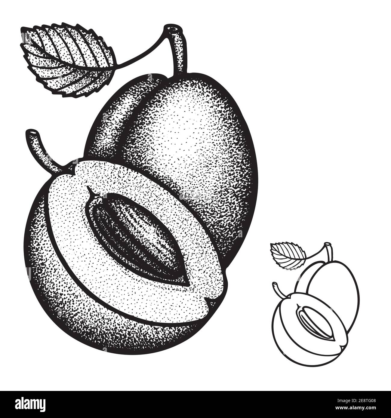 Prunes. Prunes entières et en tranches avec des semences et des ...