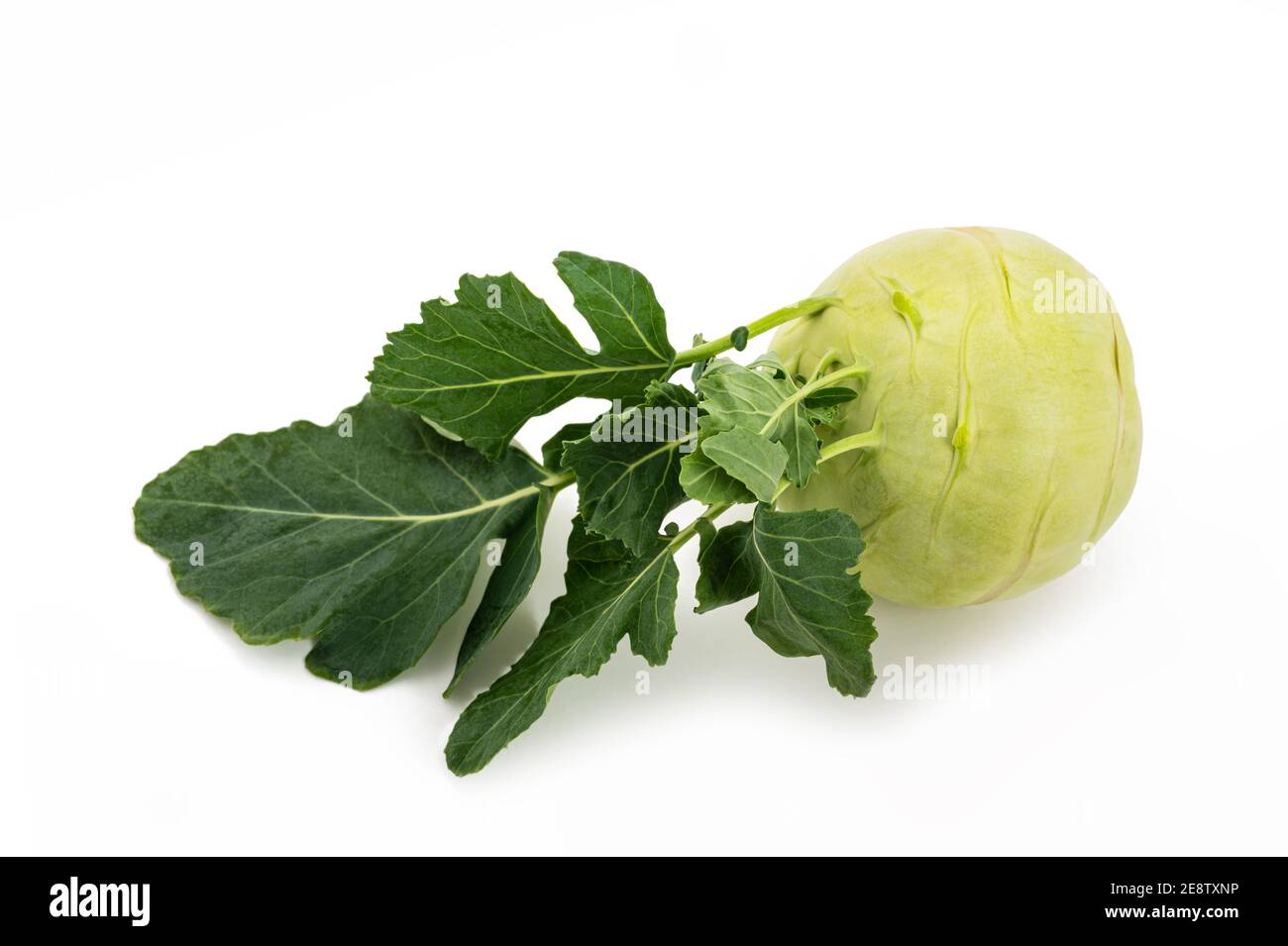 Navet blanc Banque de photographies et d’images à haute résolution - Alamy