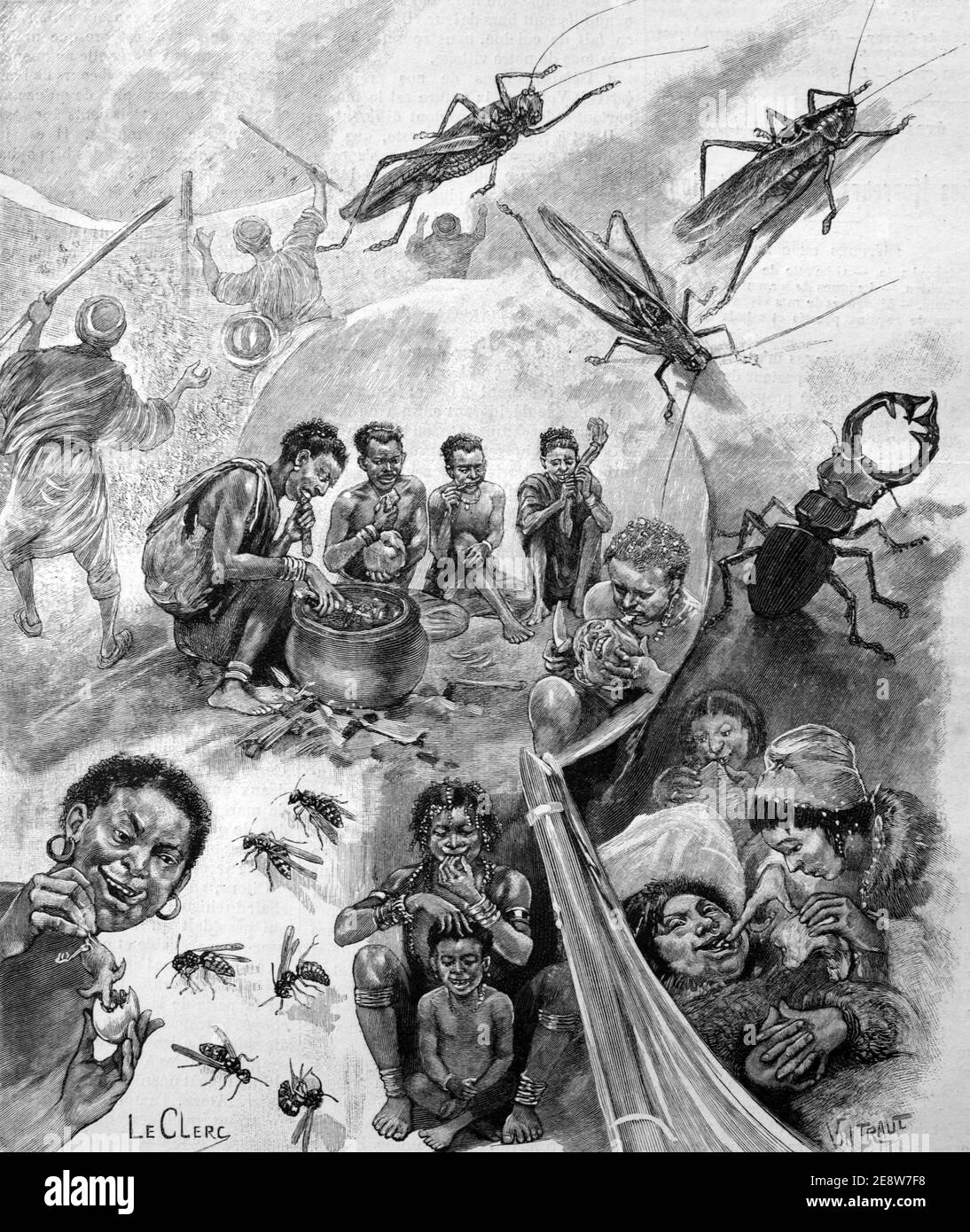 Insectes Comme Nourriture Humaine Banque d'image et photos - Alamy