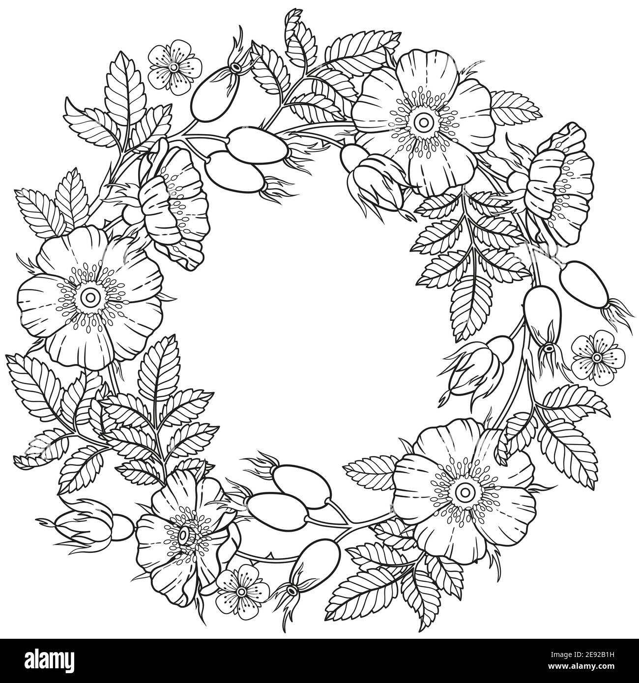 Cadre rond, une couronne de fleurs, branches et feuilles de rosier ...