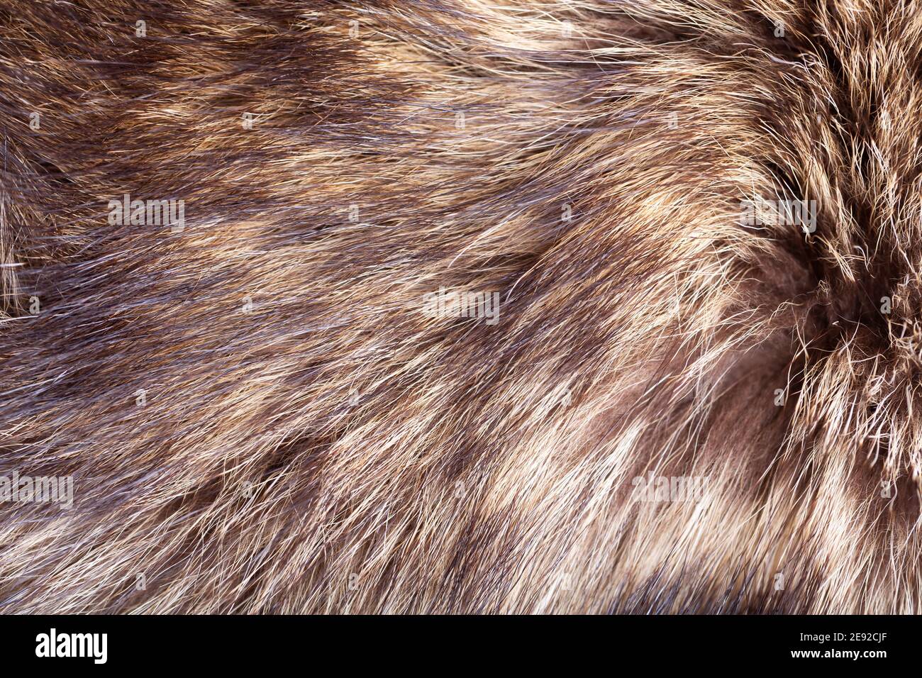 Texture de fourrure animale Banque de photographies et d’images à haute ...