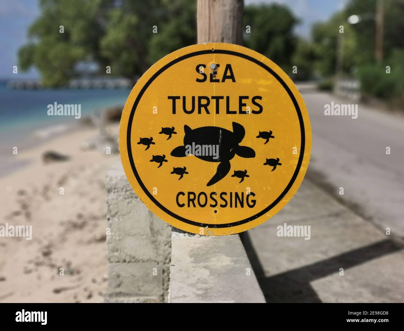 Platinum coast Banque de photographies et d’images à haute résolution ...