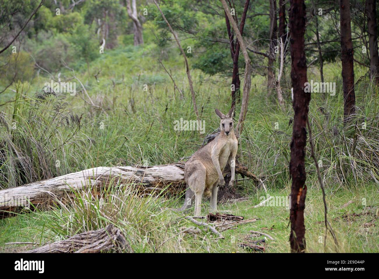 Churchill national park Banque de photographies et d’images à haute ...