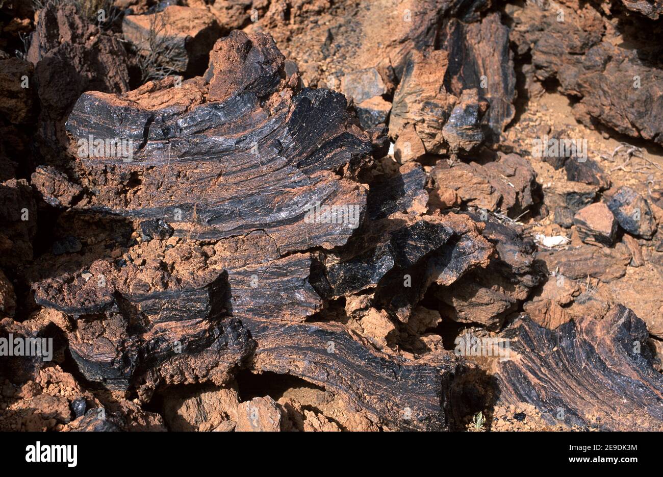Parc de verre Banque de photographies et d’images à haute résolution ...