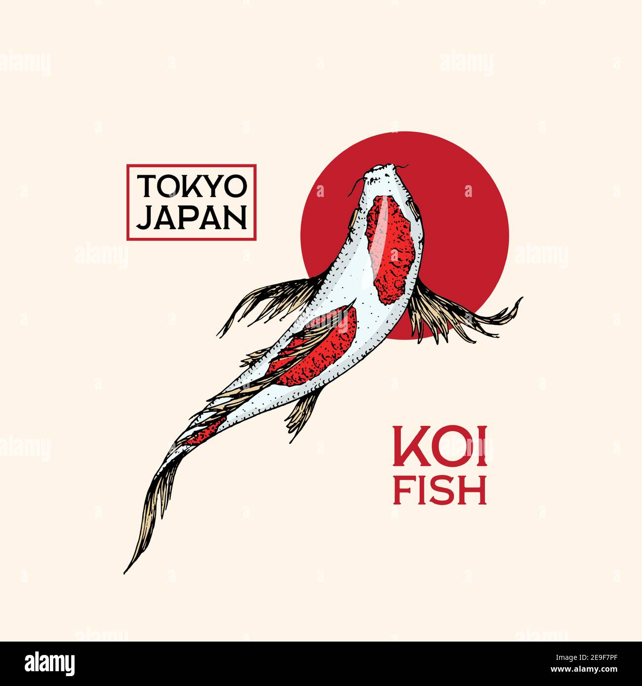 Carpe koï et soleil rouge, badge de poisson japonais. Logo animal ...