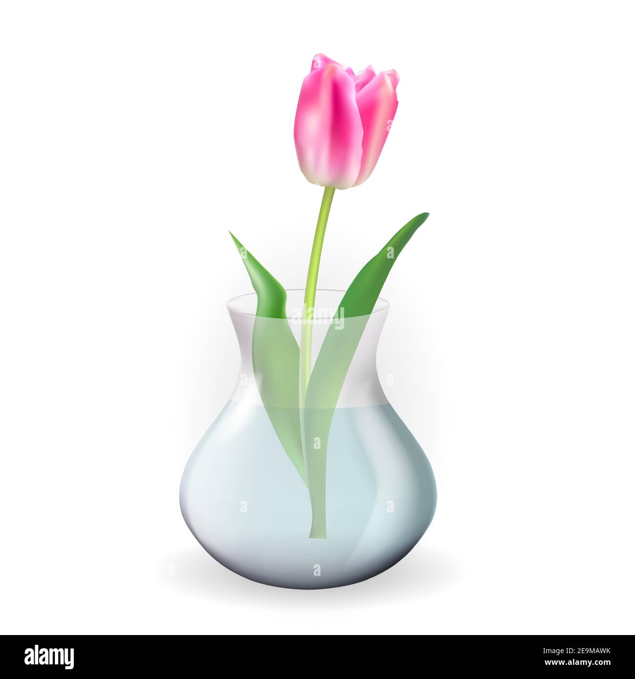 Vase en verre transparent 3D réaliste avec fleur Tulips. Élément de ...