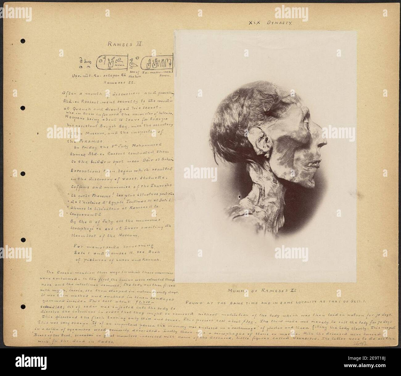 The mummy of ramses ii Banque de photographies et d’images à haute ...