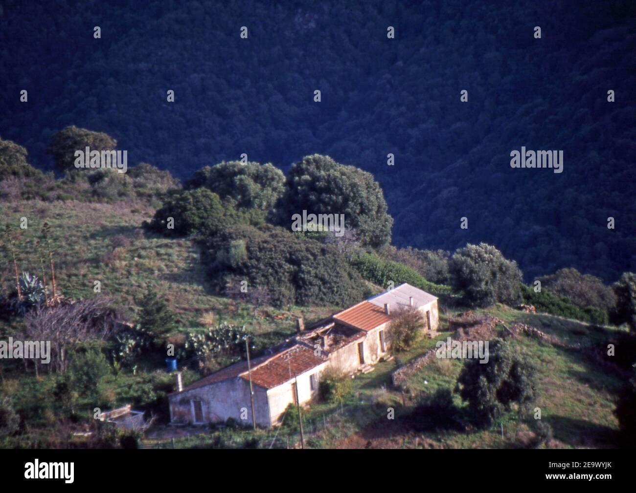 Une 'stazzo', ferme typique de Gallura, Sardaigne, Italie (scanné à ...