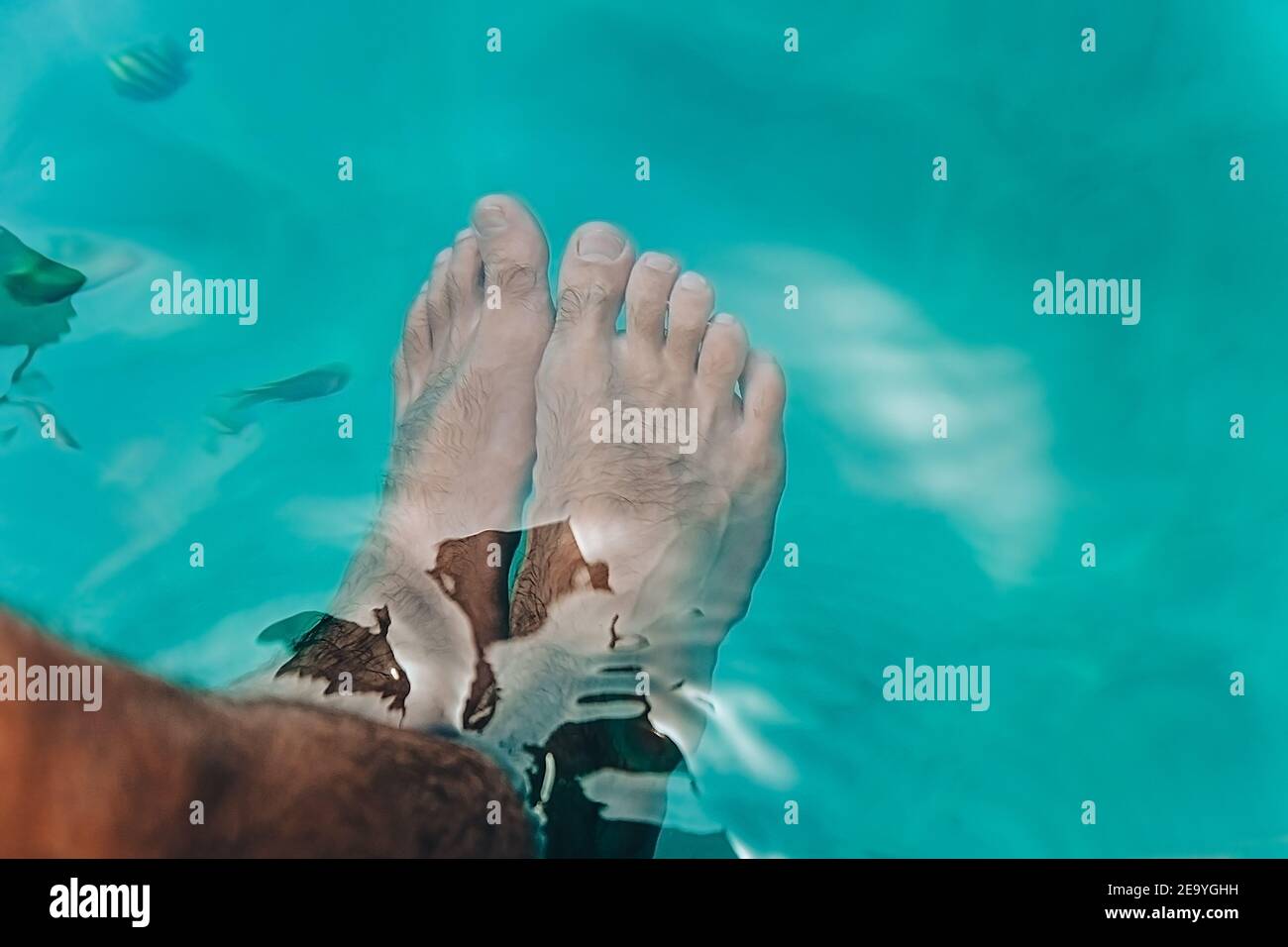 Poisson avec des jambes humaines Banque de photographies et d’images à ...