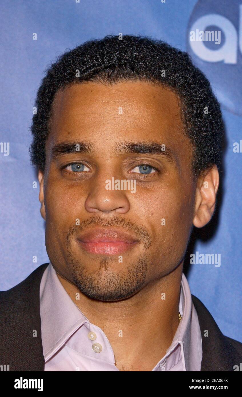 Michael Ealy assiste à la première de Los Angeles d'ïTheir Eyes ...