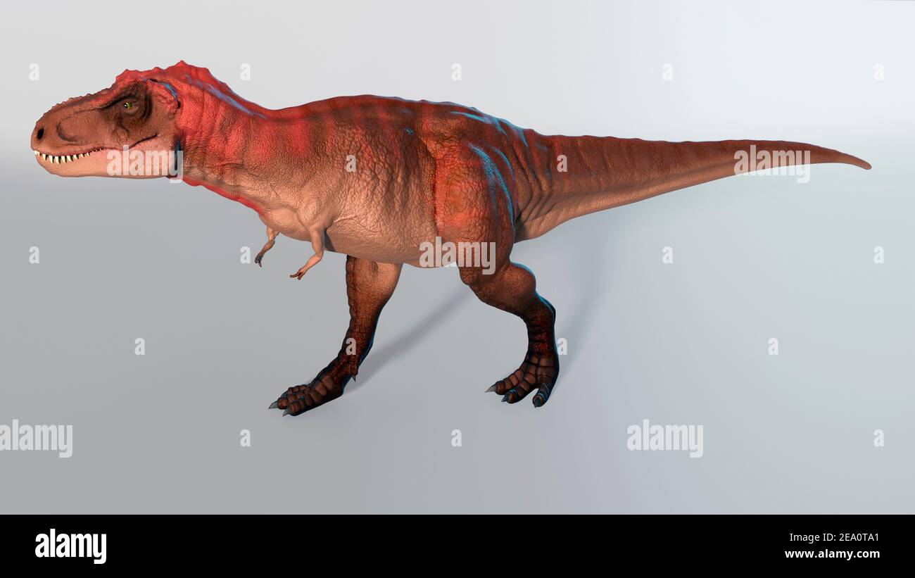 Feathered dinosaur tyrannosaurus rex Banque de photographies et d’images à haute résolution - Alamy