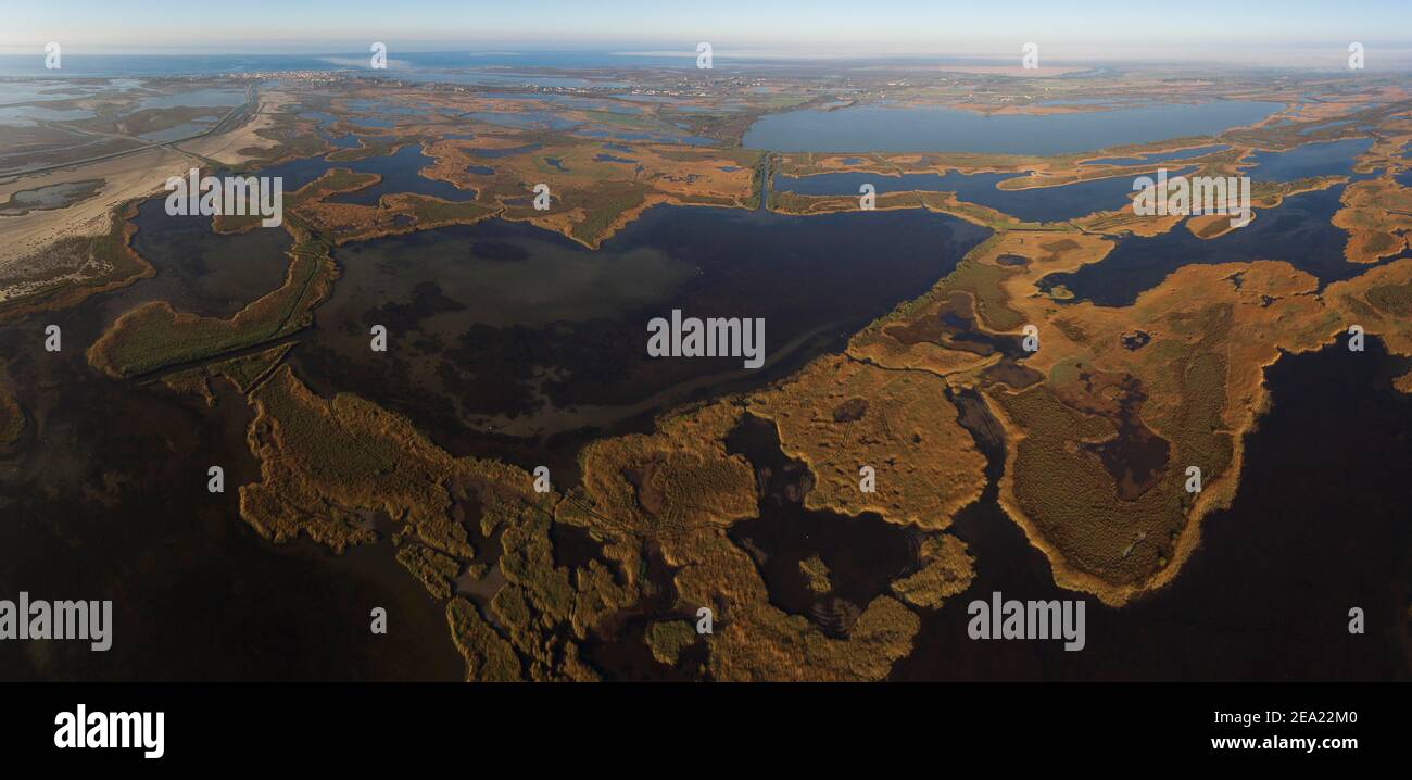 Le rhône en camargue Banque de photographies et d’images à haute ...