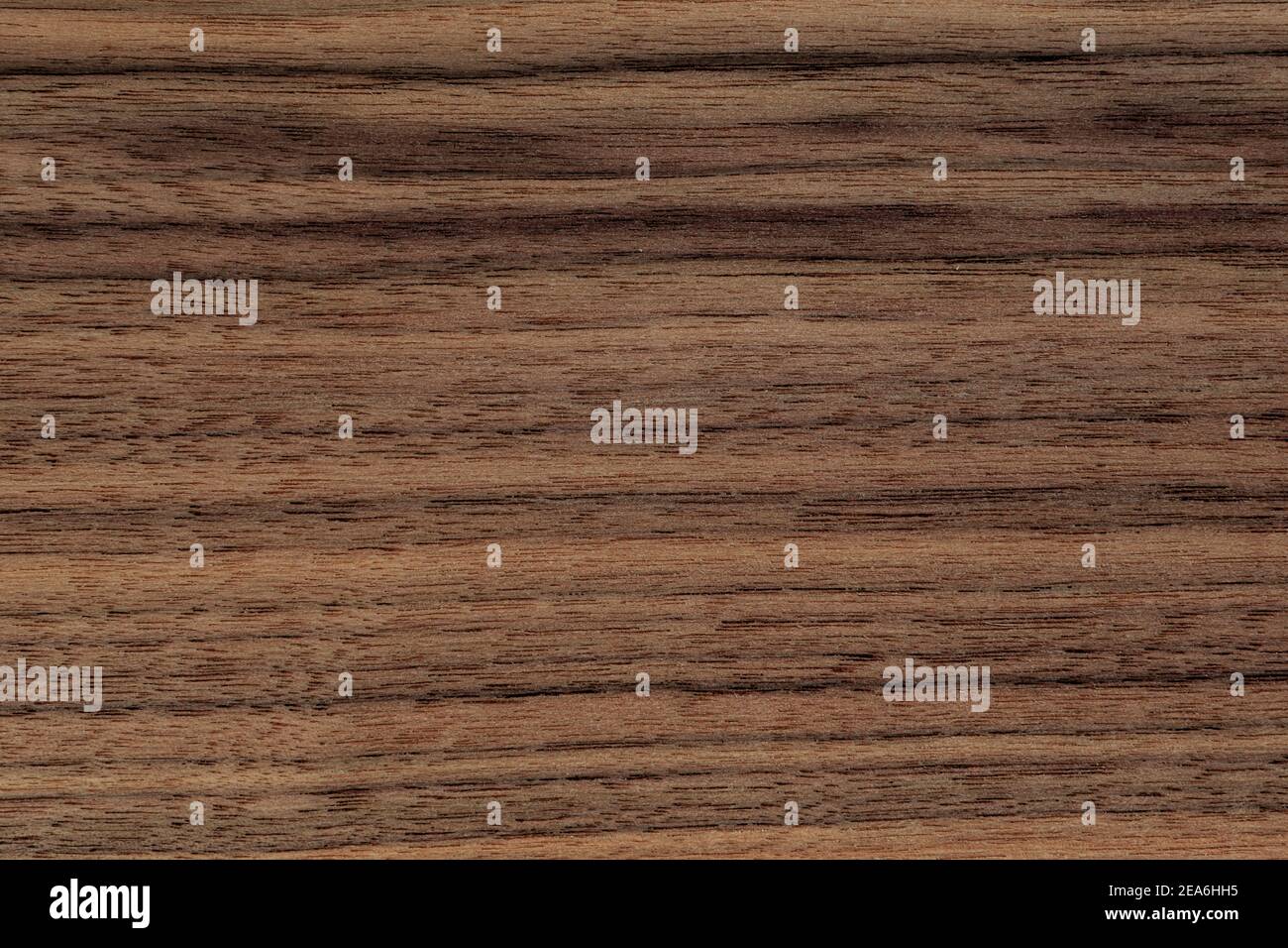 Texture en noyer. Arrière-plan en bois de noyer véritable foncé Photo ...