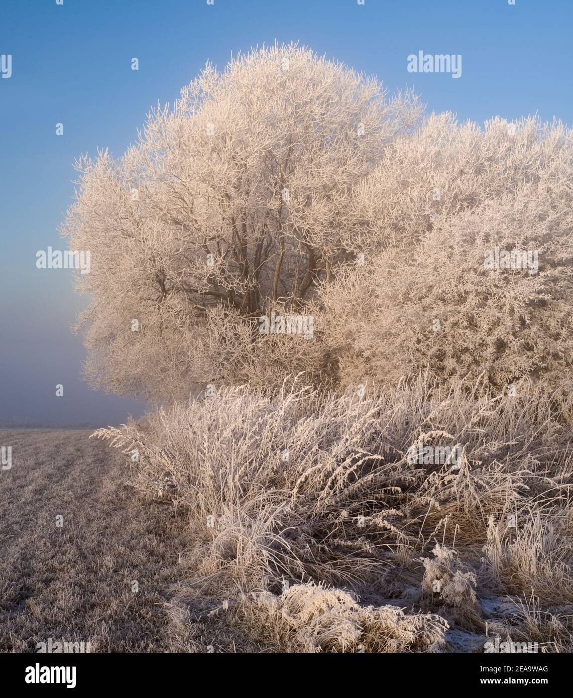 Europe, Allemagne, Hesse, arrière-pays, parc naturel de Lahn-Dill ...