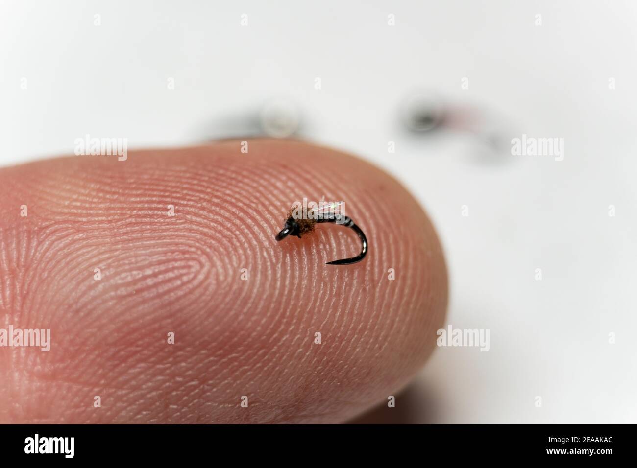 Petite carpe peche Banque de photographies et d’images à haute ...