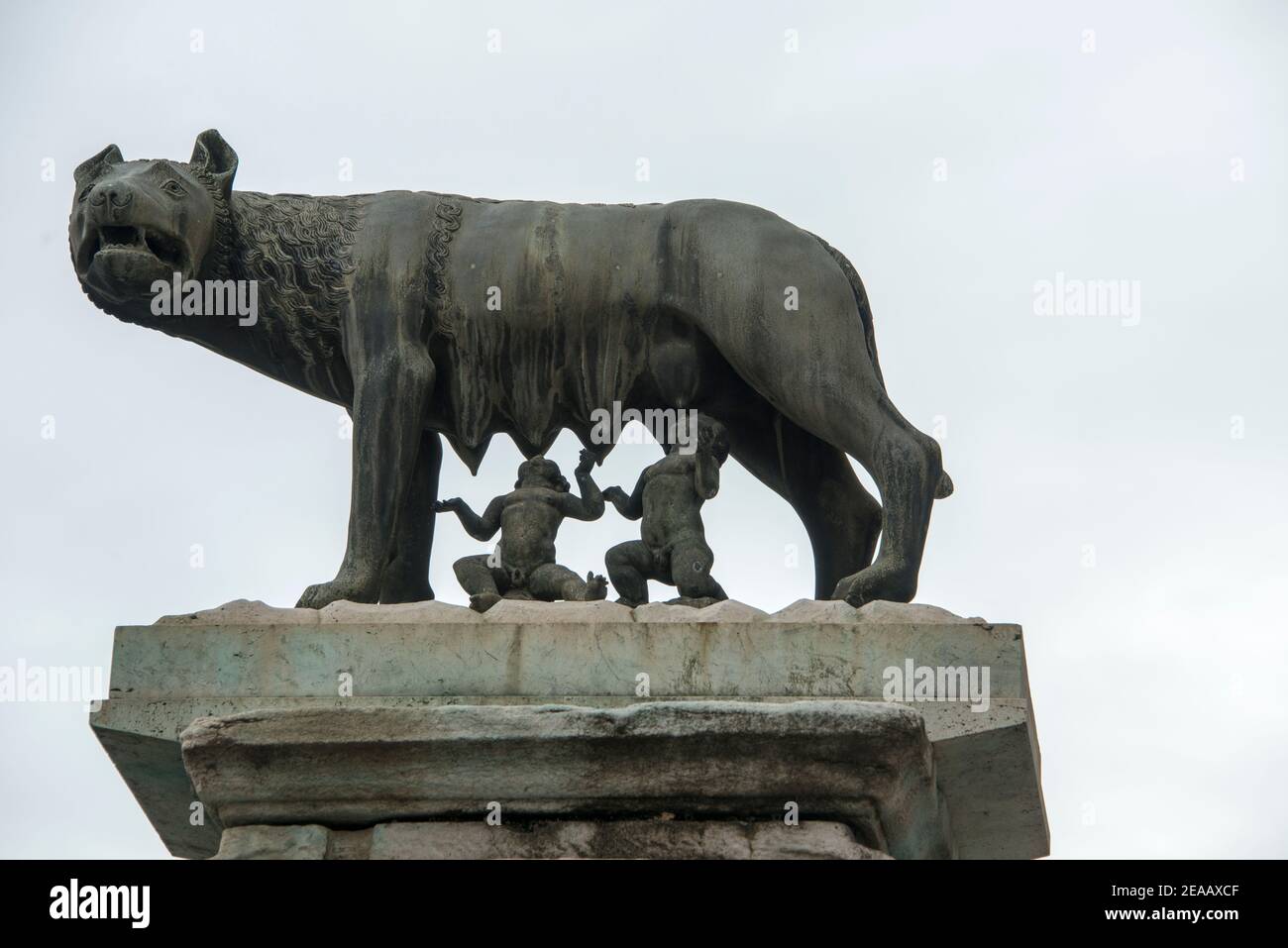 Romulus and remus statue Banque de photographies et d’images à haute ...