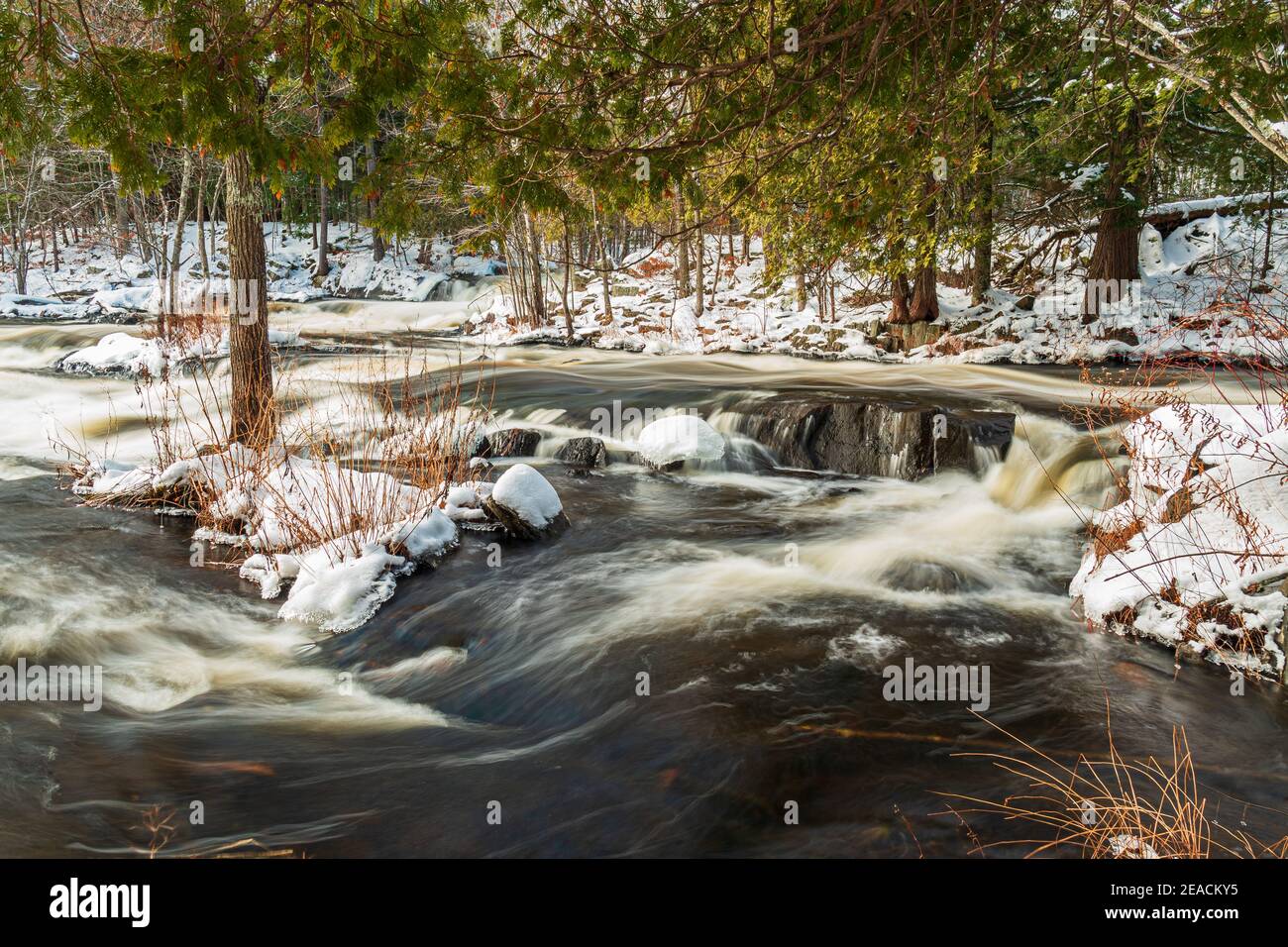 Zone de conservation des chutes Cordova Crowe River Cordova Lake Comté ...