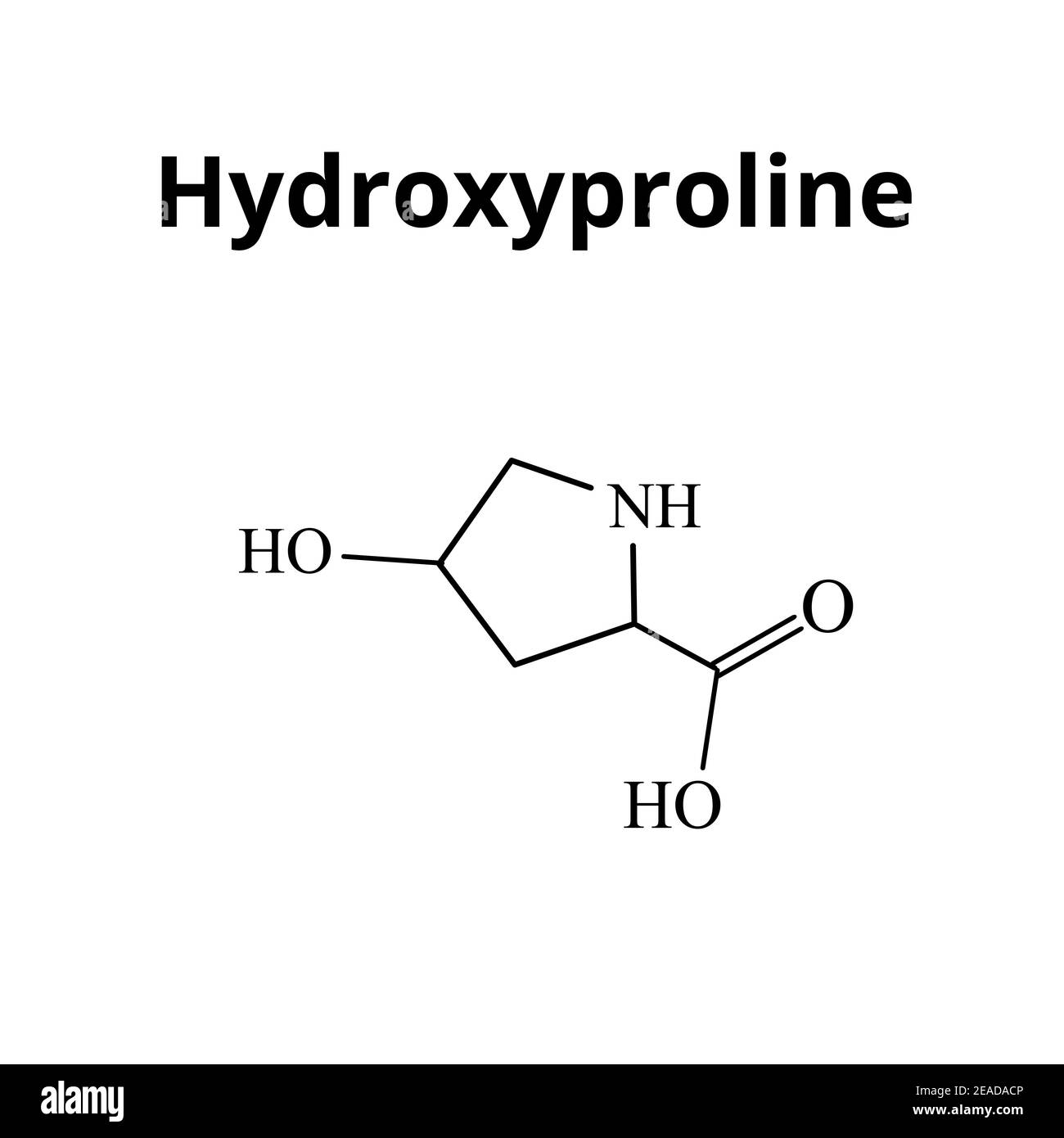 Acide aminé hydroxyproline. Formule moléculaire chimique hydroxyproline ...