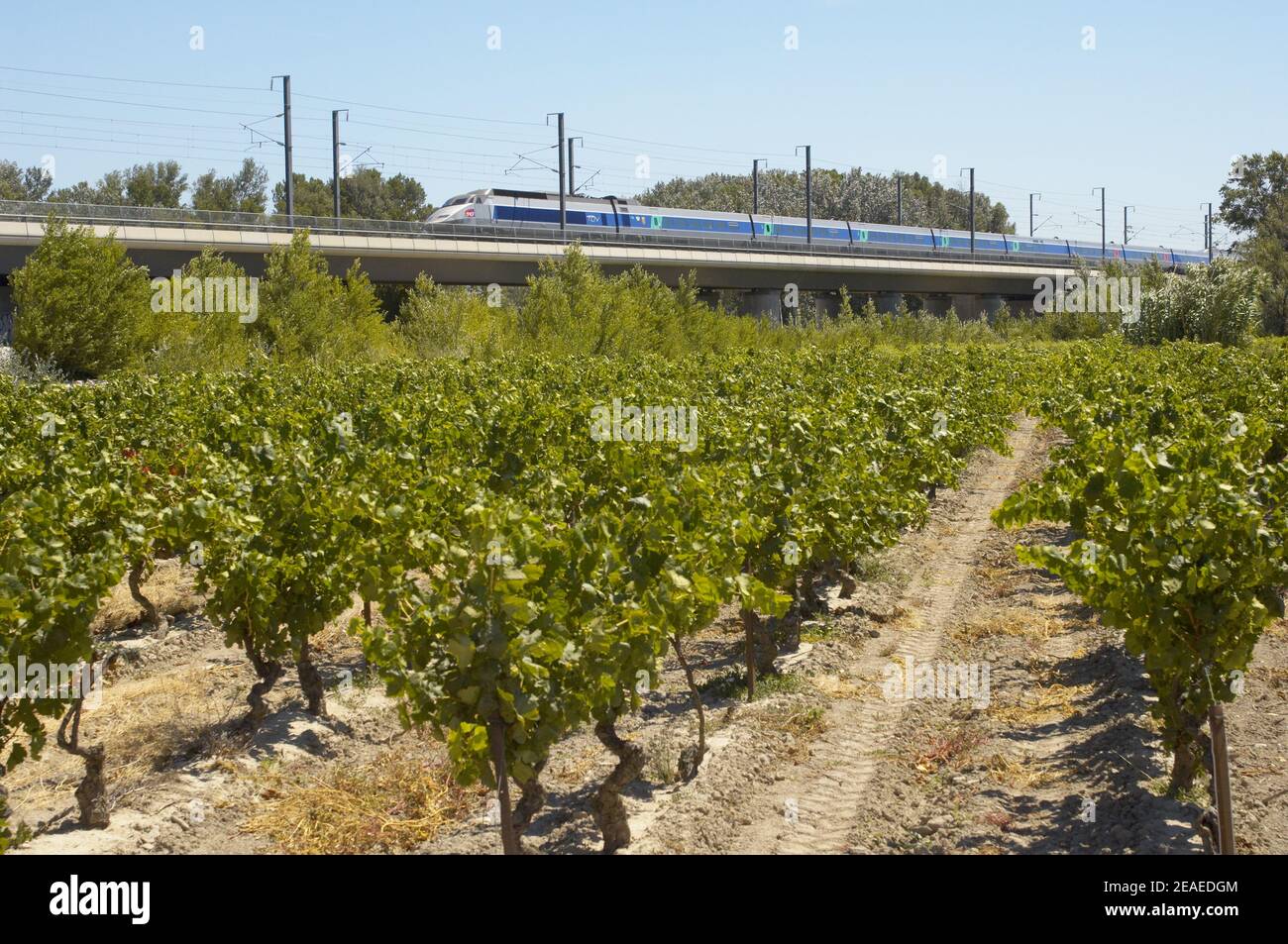 Tavel france Banque de photographies et d’images à haute résolution - Alamy