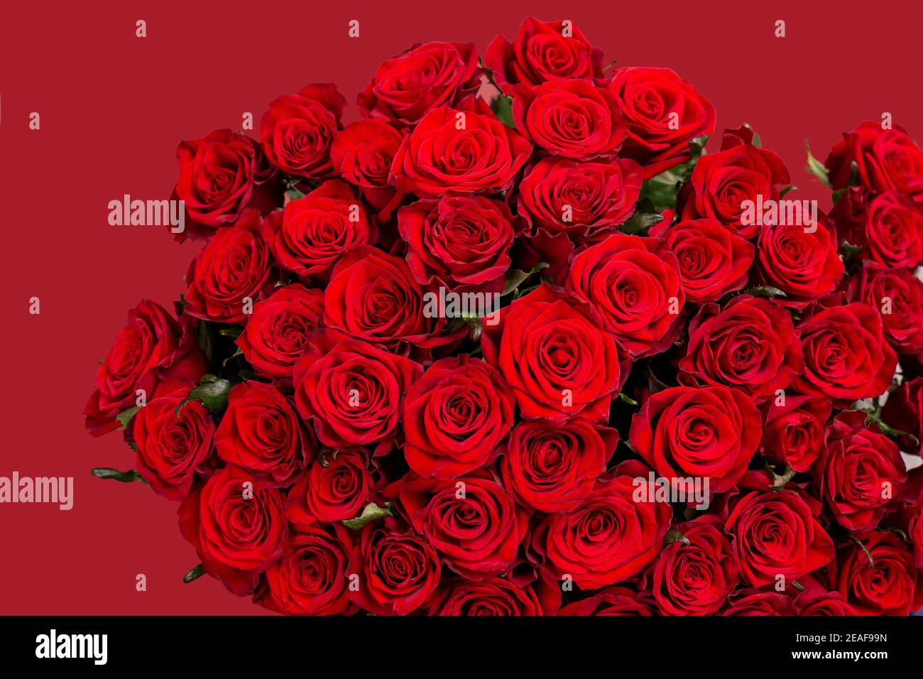 Huge bouquet of roses Banque de photographies et d’images à haute ...