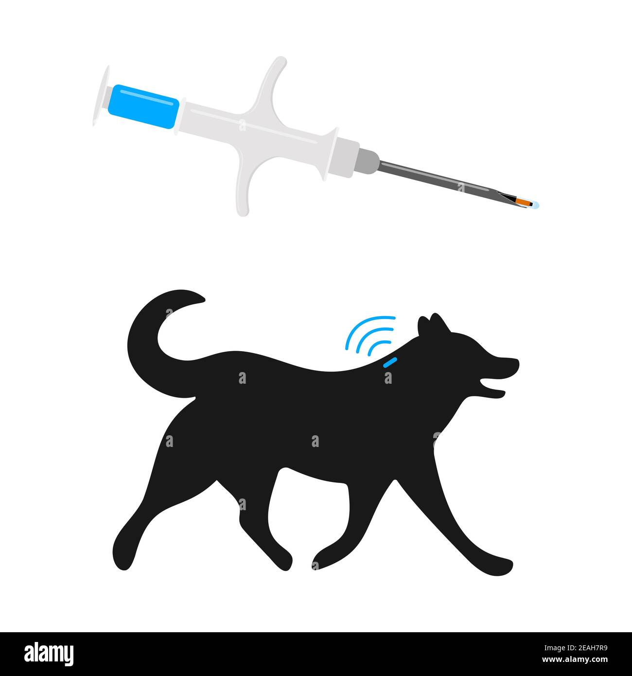 Seringue avec micropuce et silhouette de chien avec implant et signal ...
