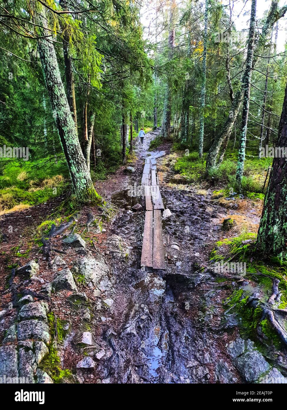 L'eau avec une montagne au loin Banque de photographies et d’images à ...