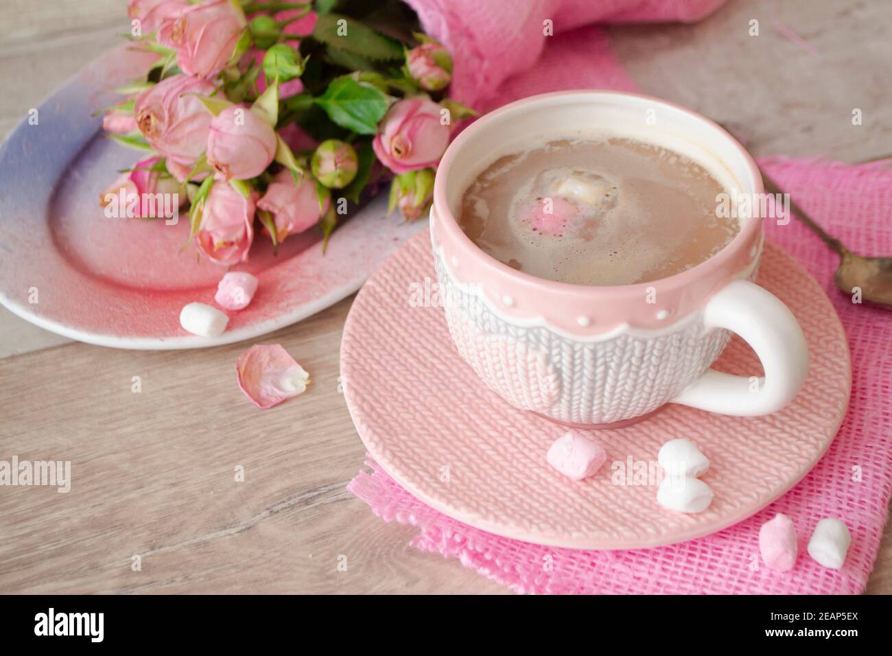 Cacao rose Banque de photographies et d’images à haute résolution - Alamy