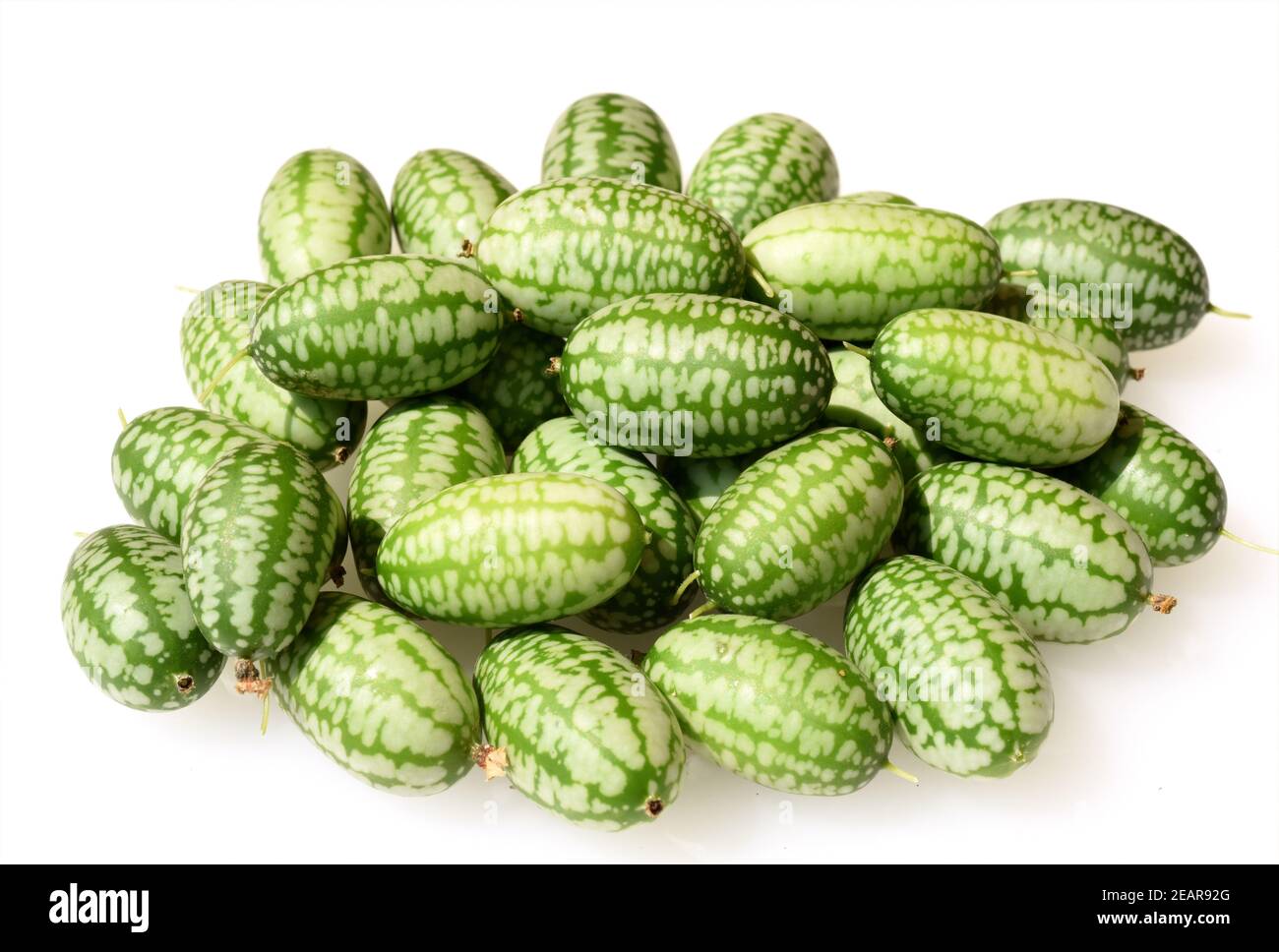 Mini mexicain Banque de photographies et d’images à haute résolution ...